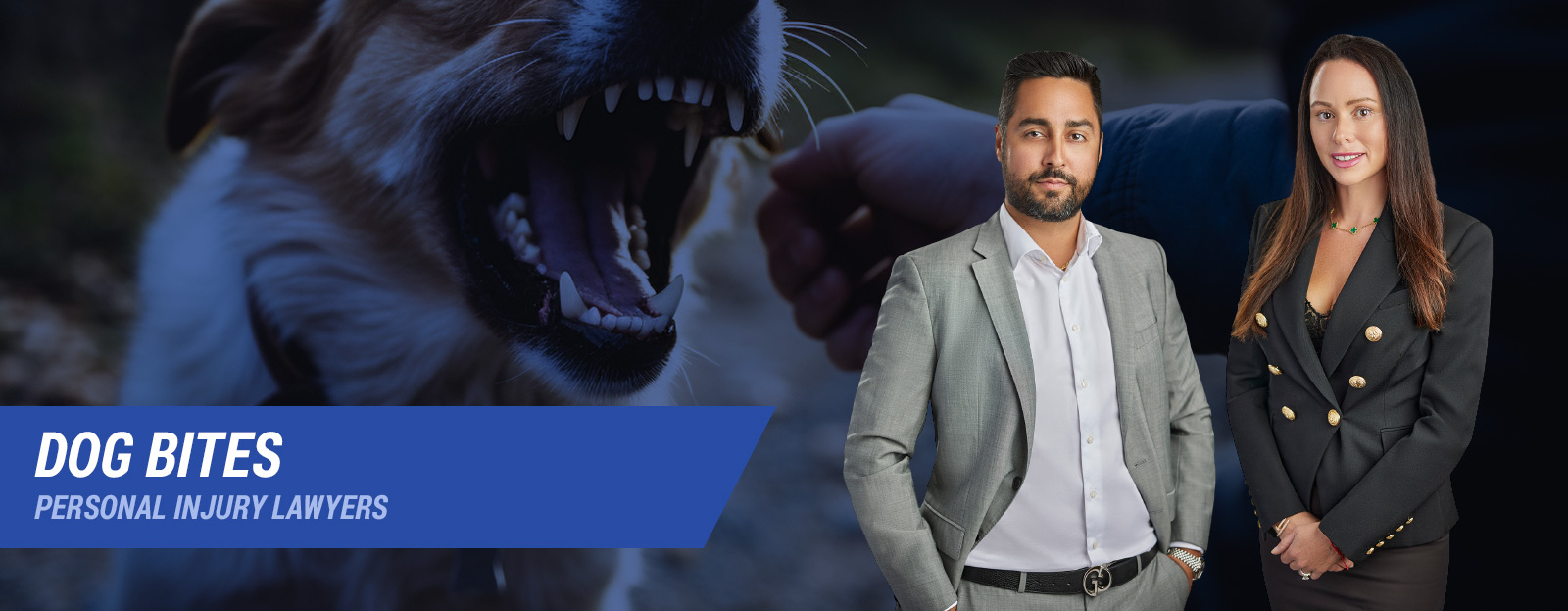 Dog Bite Lawyers in Sudbury | BLPC Injury Law Firm